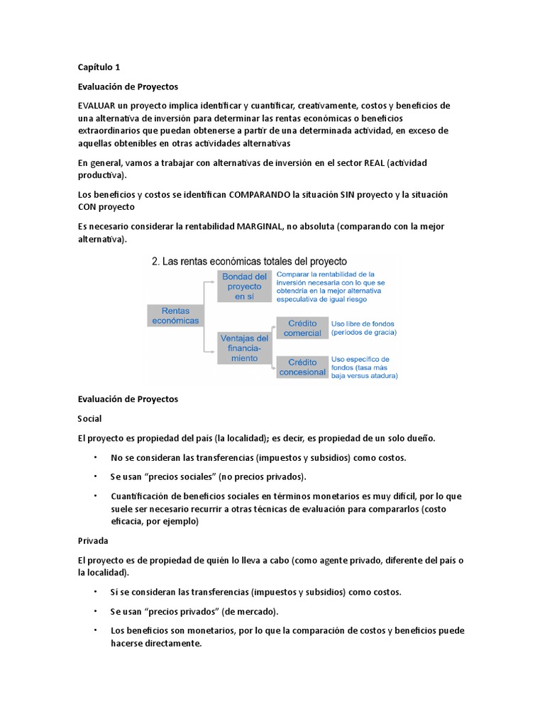 Resumen Capitulo 1 Evaluacion de Proyectos | PDF | Subvención | Precios