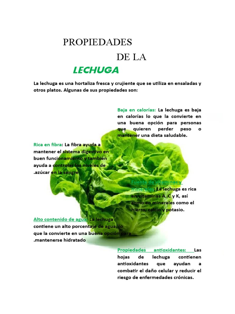 La Lechuga | PDF