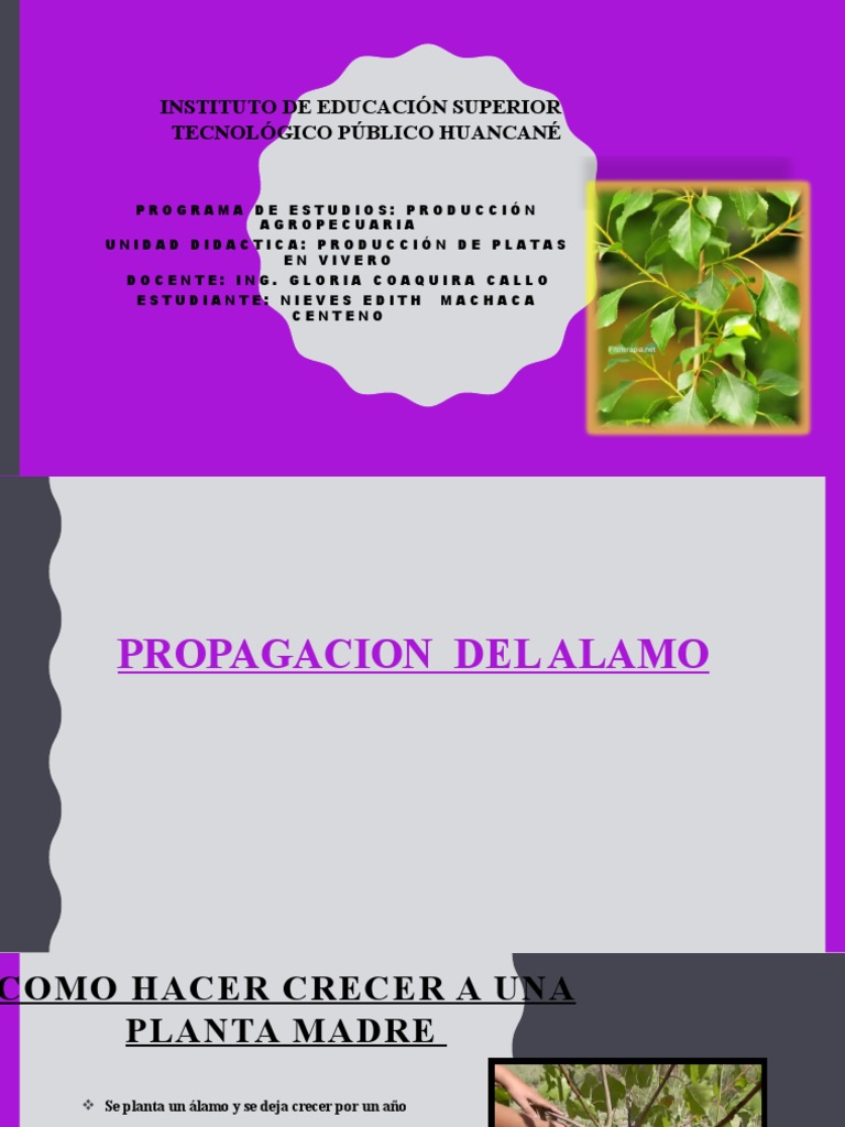 Propagacion de Alamo - 100104 | PDF | Ciencia y matemáticas