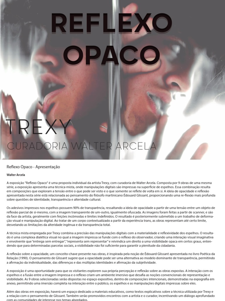Reflexo Opaco - Projeto Final | PDF | Reflexão (Física) | Imagem