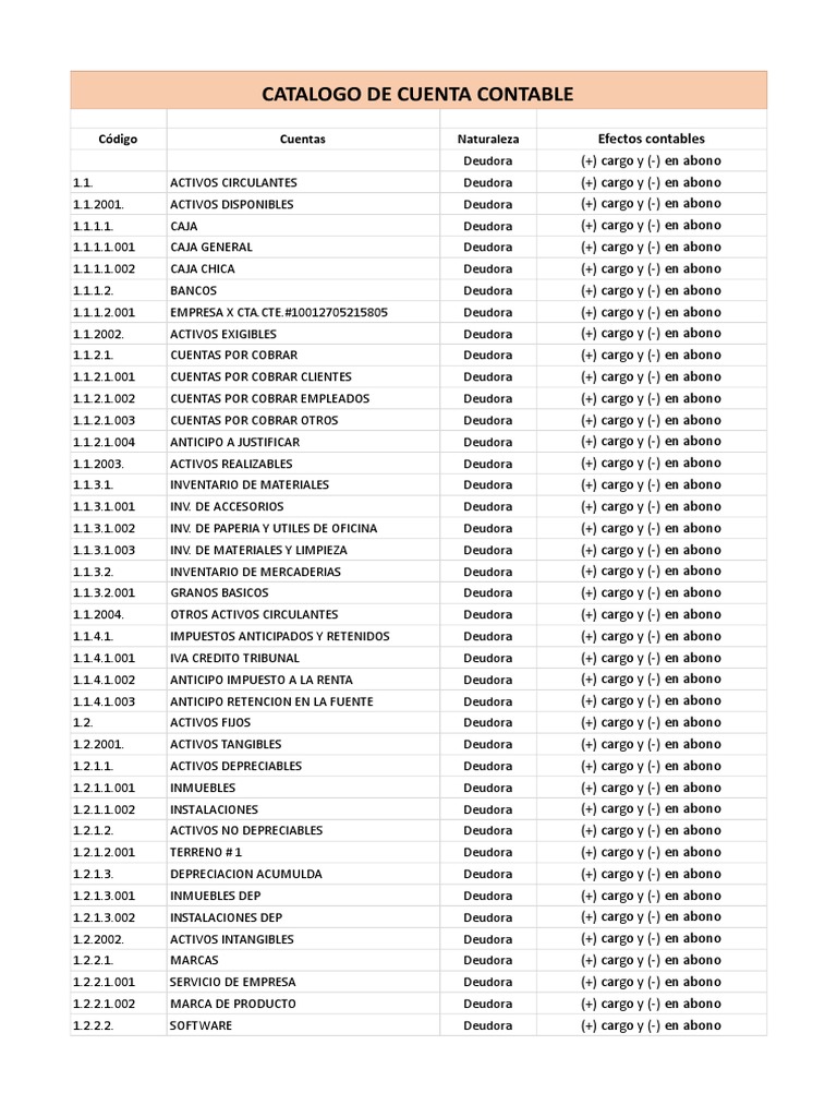 Catalogo de Cuenta Contable | PDF | Contabilidad | Servicios financieros