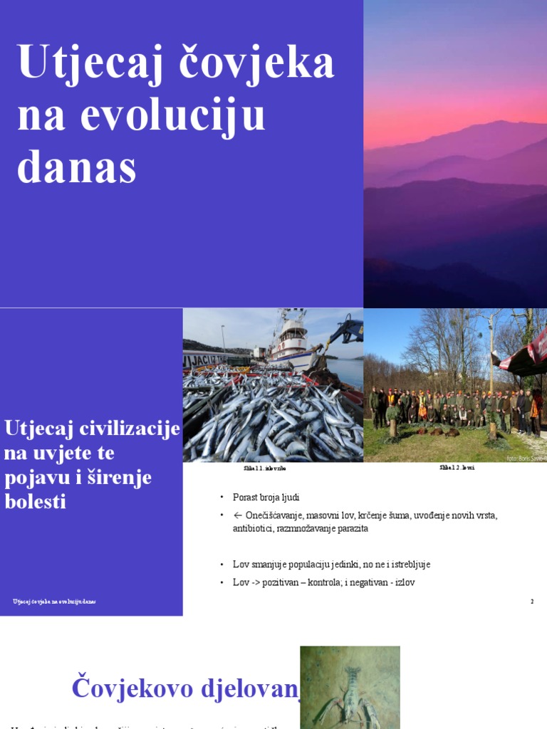 Utjecaj Čovjeka Na Evoluciju Danas | PDF