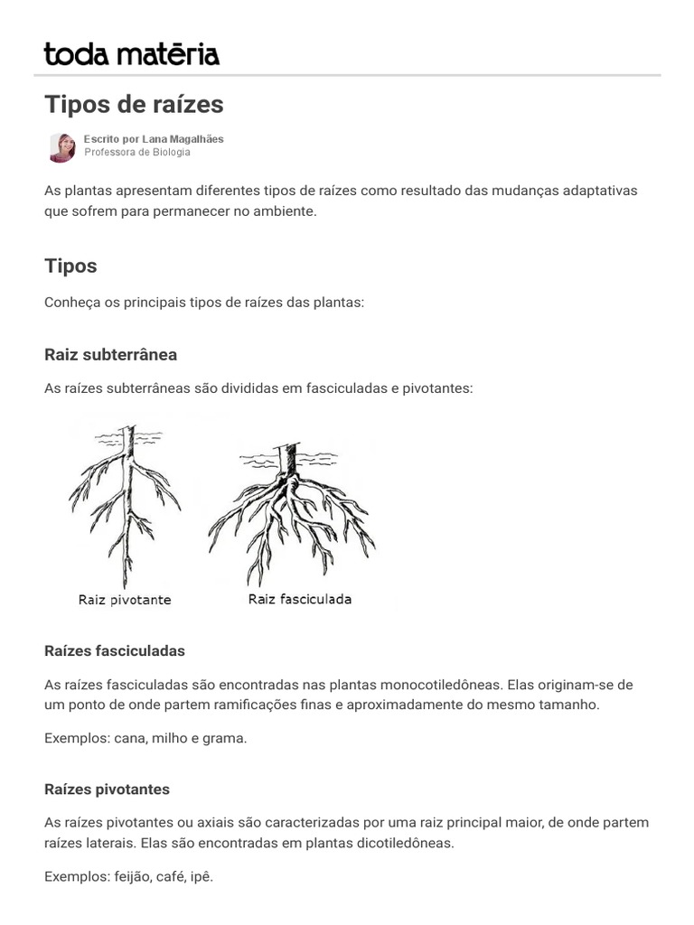 Tipos de Raízes das Plantas: Guia Completo | PDF | Raiz | Plantas
