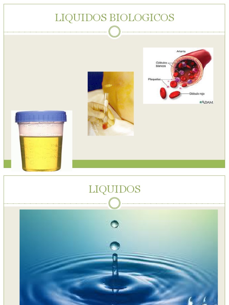 Fluidos Biológicos y su Importancia | PDF | Sangre | Homeostasis
