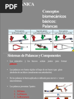 Postura Corporal Normal, Estática y Dinámica | PDF | La columna ...