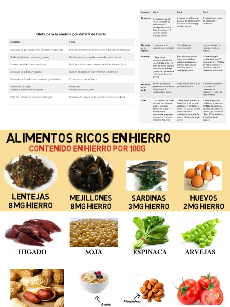 Dieta para La Anemia | PDF