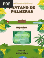 Sabana Húmeda de Palmeras en Perú | PDF | Ecosistema | Sabana