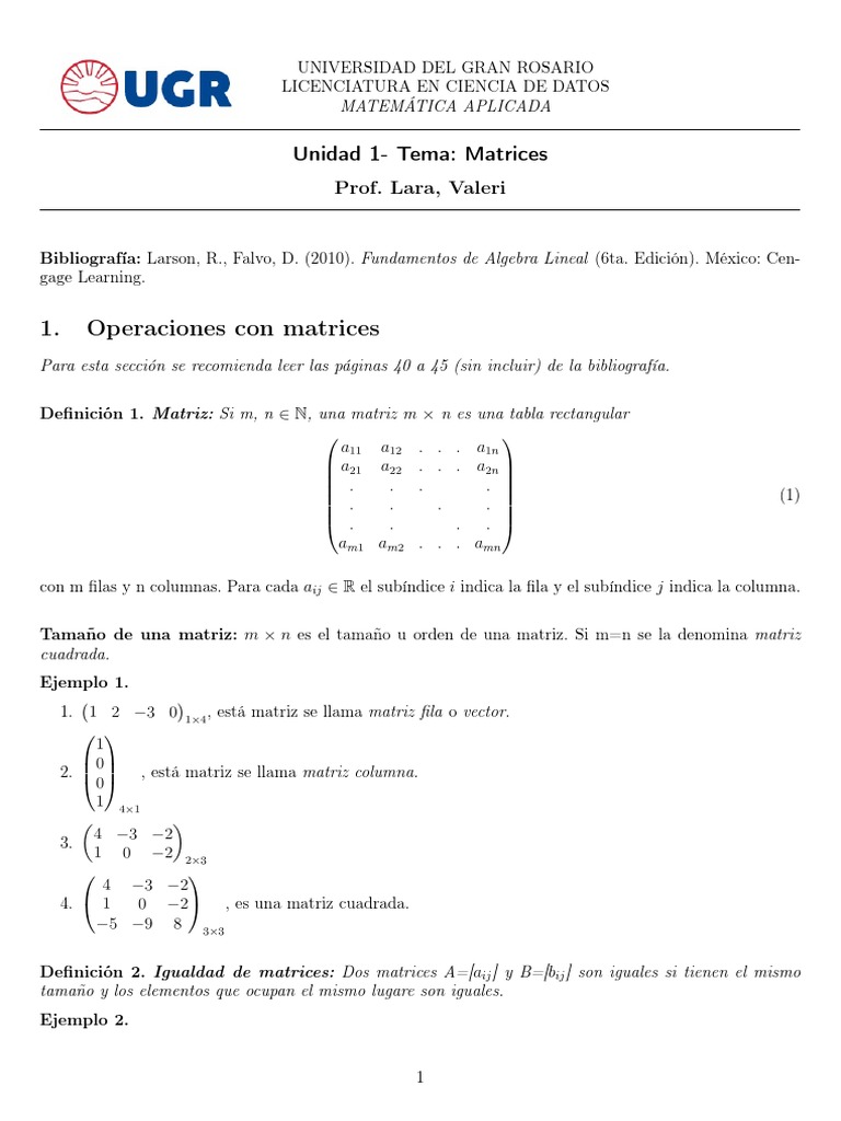 Introducción a Operaciones con Matrices | PDF | Matriz (Matemáticas) | Análisis matemático