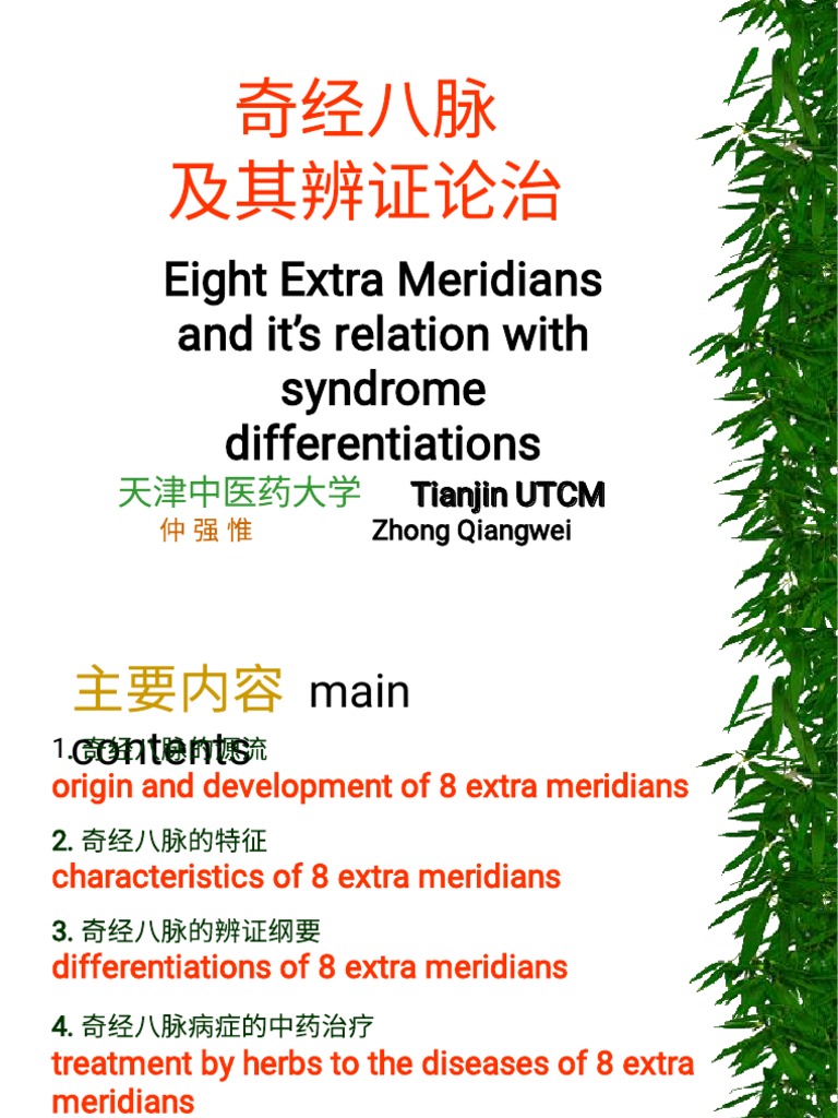 Extra Meridians | PDF