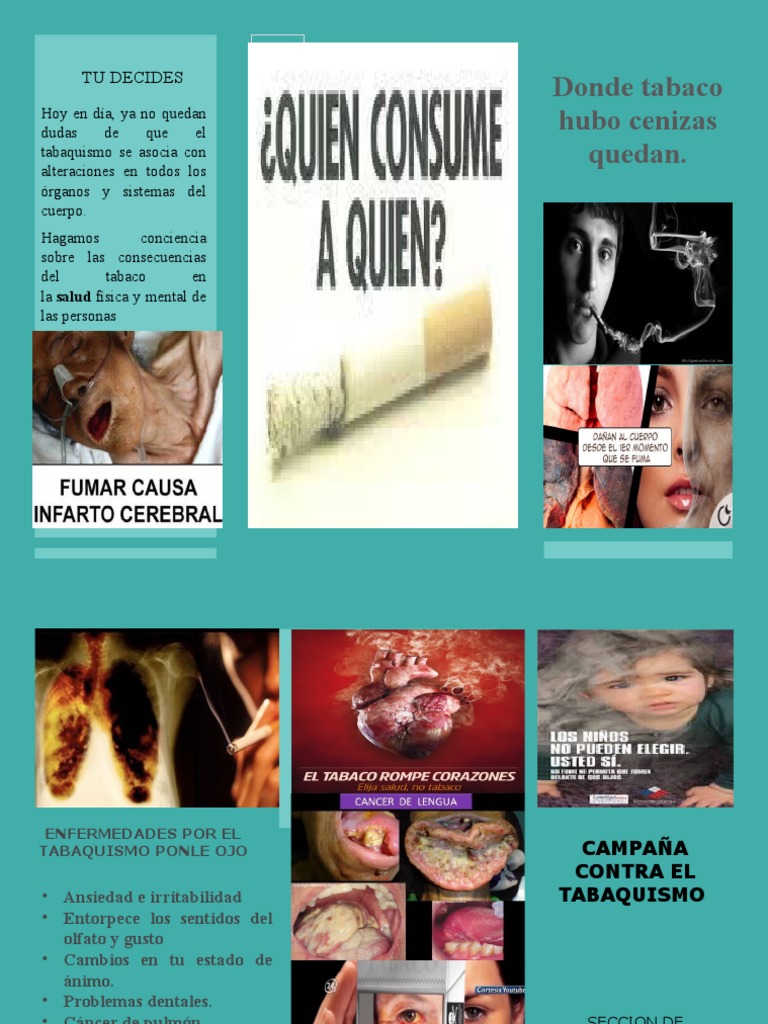 Campaña Contra El Tabaco - Folleto | PDF