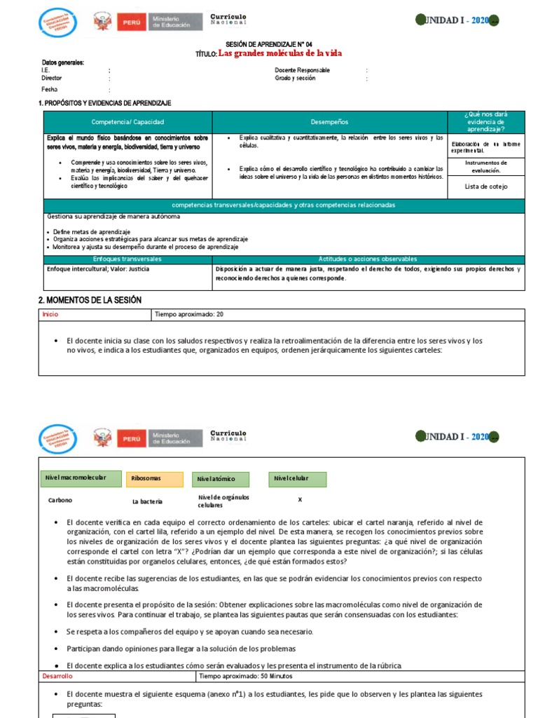 SESION DE APRENDIZAJE 04 | PDF | Carbohidratos | Lípido