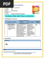 SESION Escribimos Un Afiche | PDF | Evaluación | Lingüística