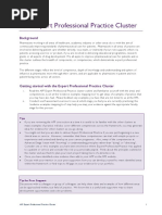 RPS Advanced Pharmacy Framework | PDF | Pharmacy | Pharmacist