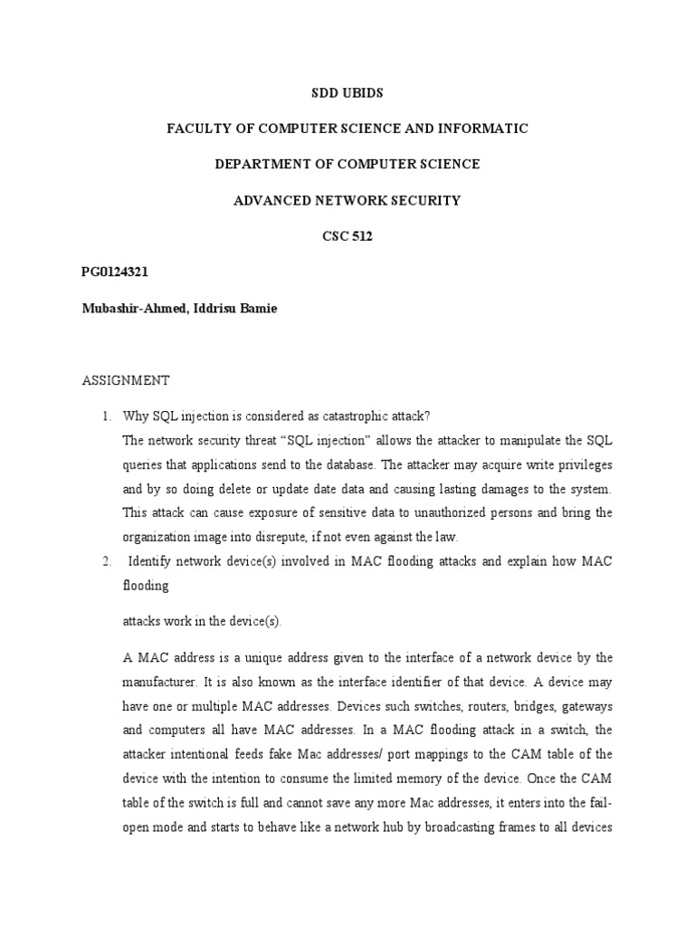 Network Security Assignment | PDF | Computer Network | Malware