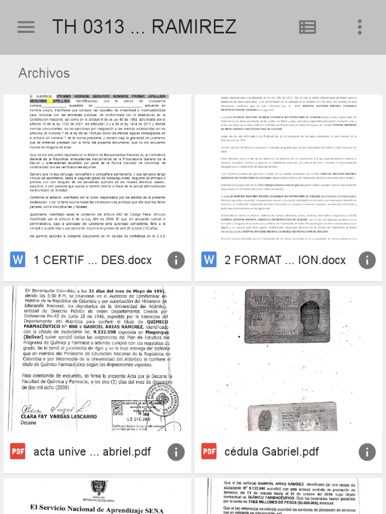 TH 0313 - 2023 Gabriel Arias Ramirez - Google Drive | PDF