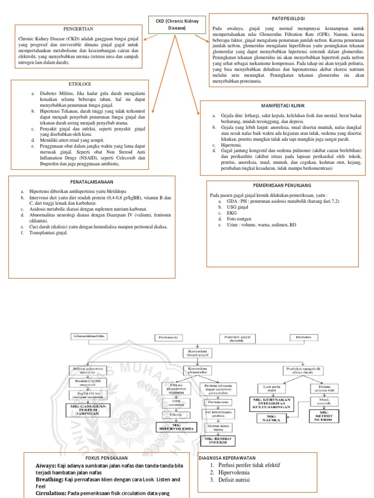 Gejala dan Penanganan CKD pada Pasien | PDF