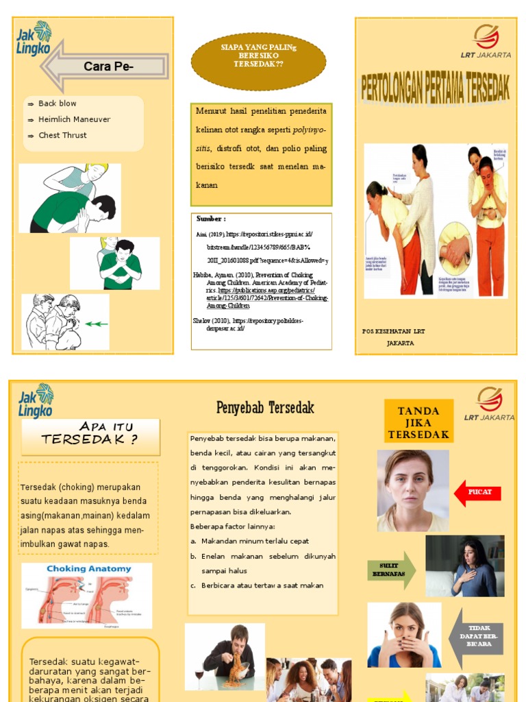 leaflet Tersedak LRT Jakarta | PDF