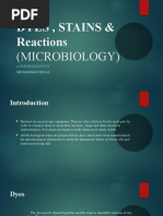 Metachromatic Granules in Bacteria | PDF | Bacteria | Cell (Biology)