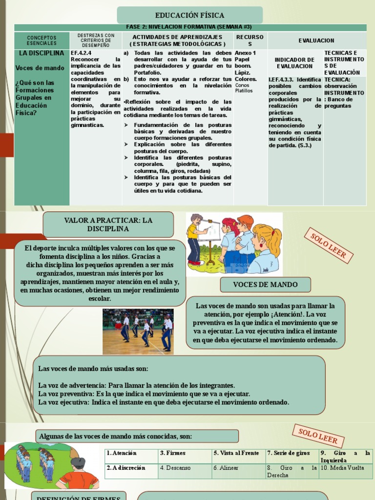 Formaciones Grupales en Educación Física | PDF | Evaluación