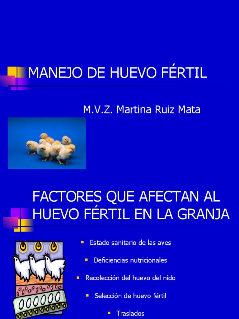 Manejo de Huevo Fértil | PDF | Aves | Huevo