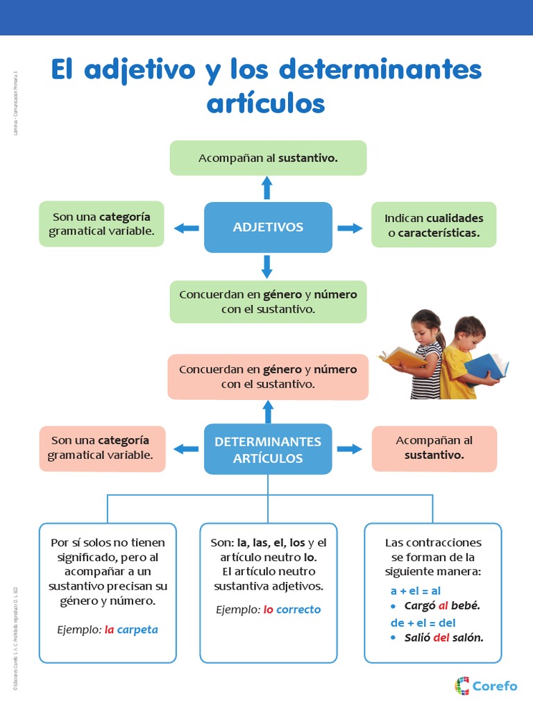 Lámina - El Adjetivo y Los Determinantes Artículos | PDF | Adjetivo ...