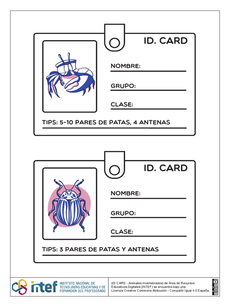 Id - Card | PDF