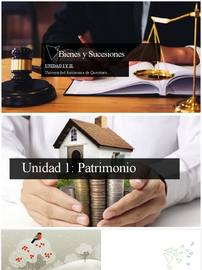 Bienes y Sucesiones | PDF | Bienes (Ley) | Propiedad