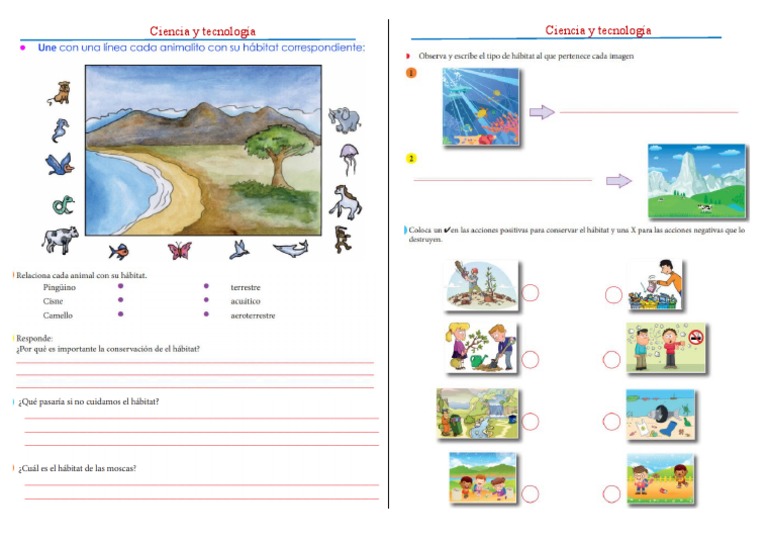 FICHA Habitat de Los Animales | PDF