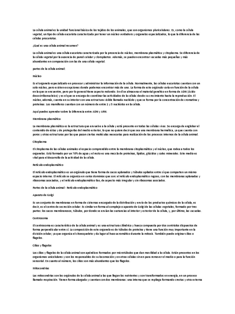 La Célula Animal Es La Unidad Funcional Básica de Los Tejidos de Los ... La Célula Animal Es La Unidad Funcional Básica de Los Tejidos de Los ...