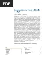 Anatomía de la Arteria Pedia del Pie | PDF | Pie | Dedo del pie