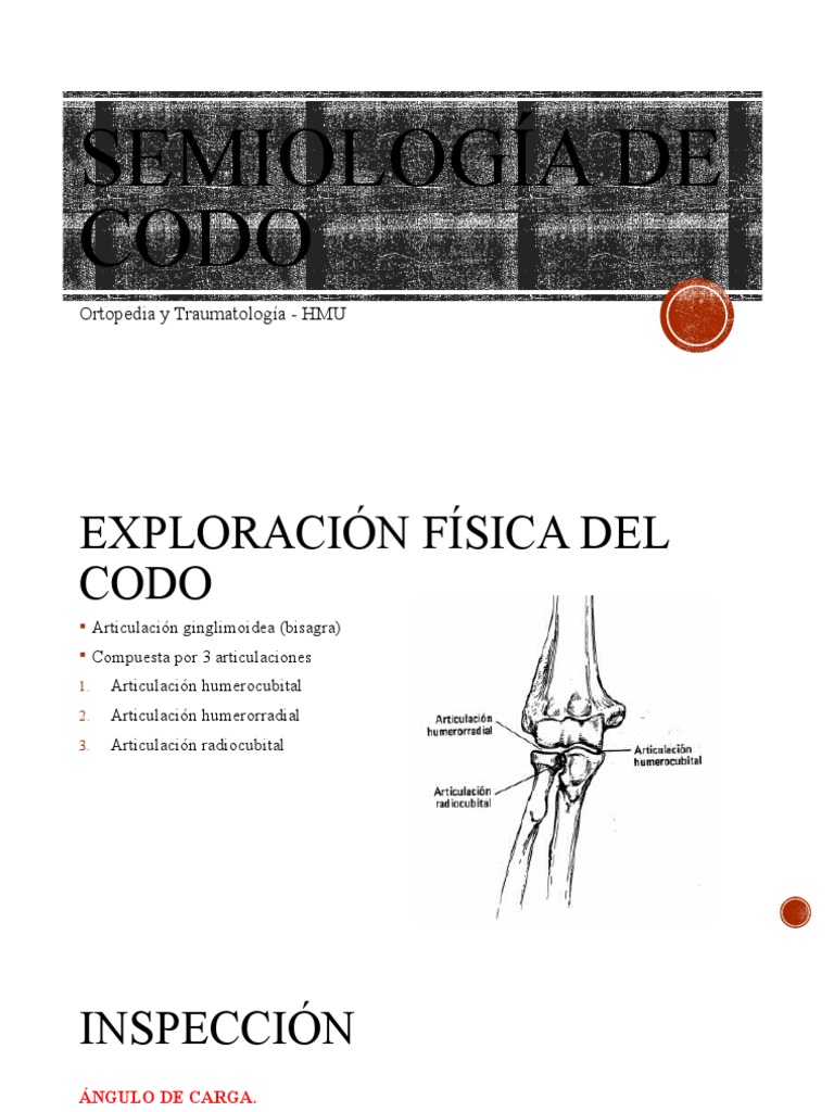 Semiología de Codo 27 | PDF | Codo | Extremidades (anatomía)