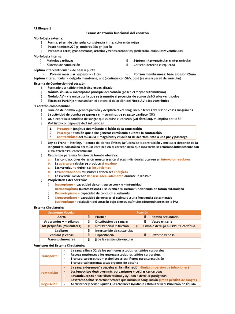 R1 Anatomía Funcional Del Corazón | PDF | Corazón | Sistema circulatorio