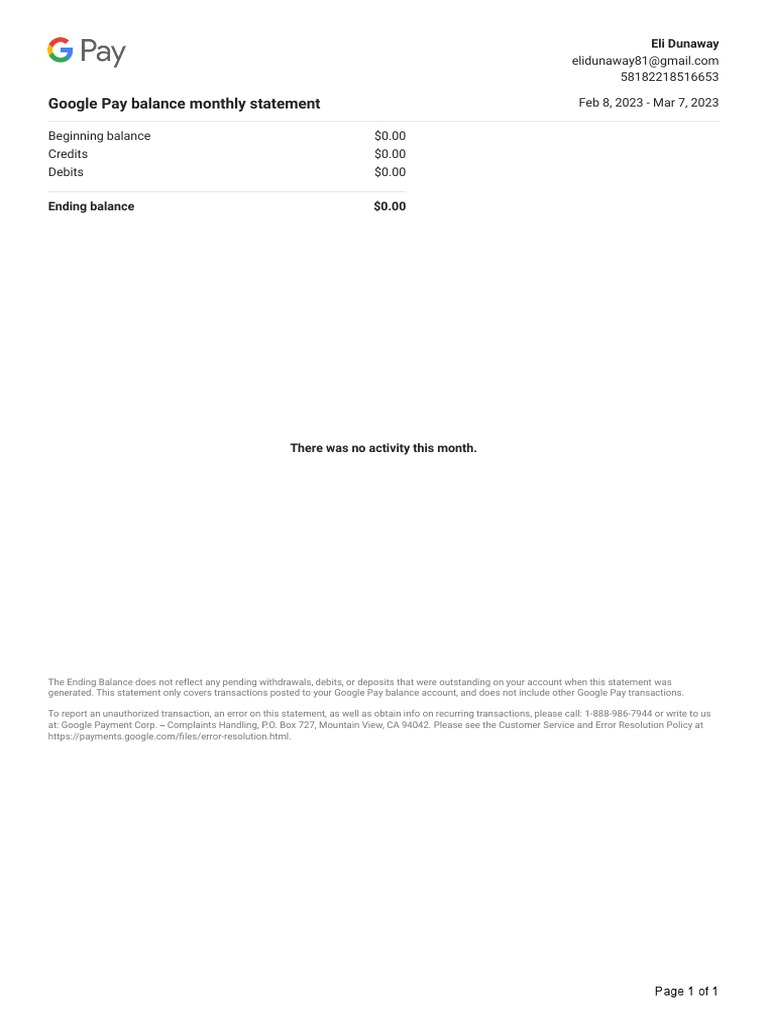 Google Pay Balance Statement | PDF