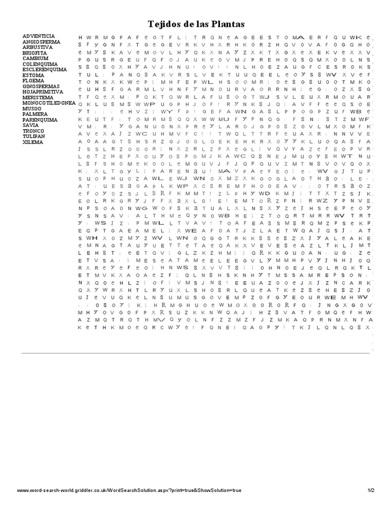 Sopa de Letras Sobre El Tejido de Las Plantas | PDF | Histología ...