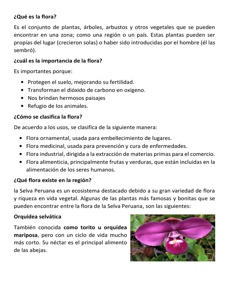Definición y usos de la flora | PDF