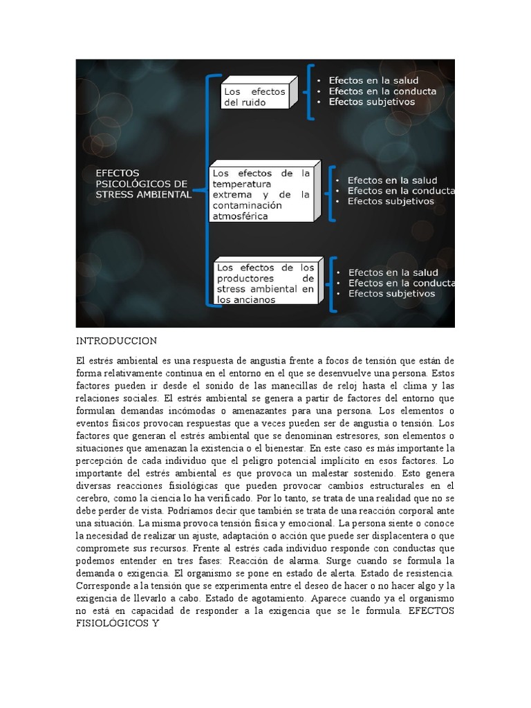 Los Efectos Del Ruido | PDF | Estrés (biología) | Sicología