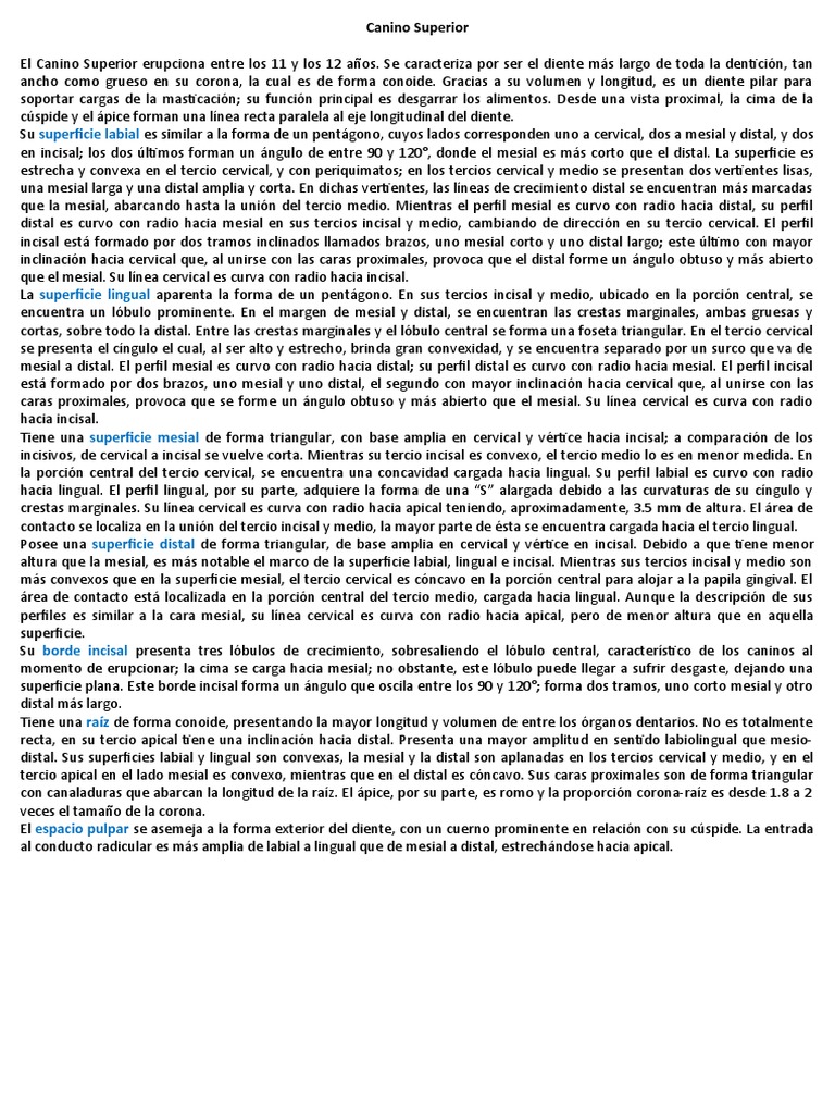 Resumen 5. Canino Superior | PDF