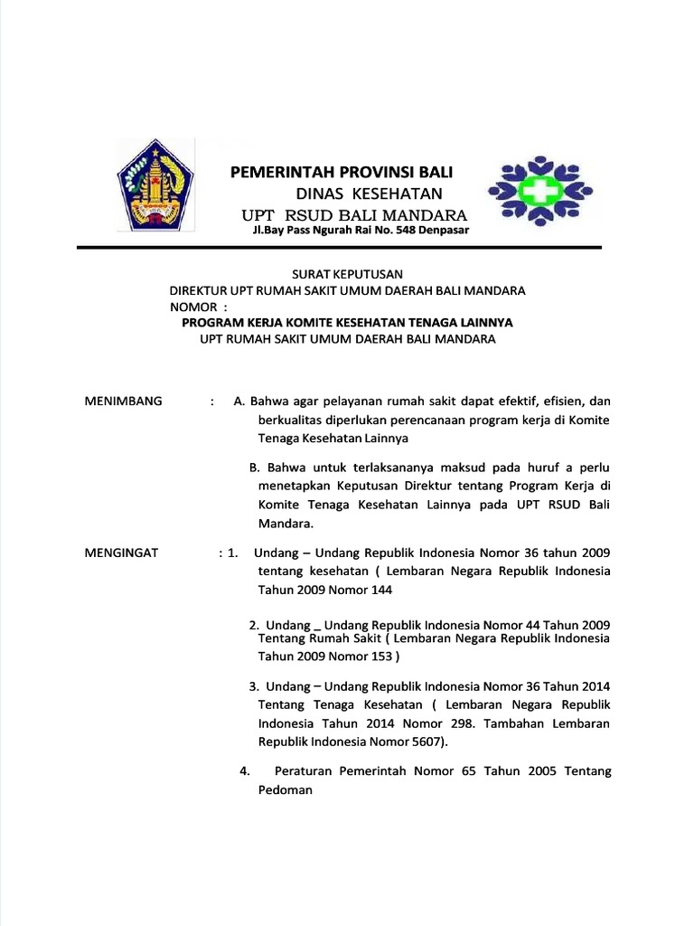 Program Kerja Komite Kesehatan RSUD Bali | PDF