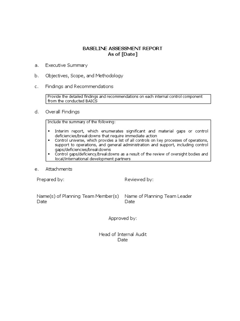 BAICS Reports | PDF | Audit | Internal Audit
