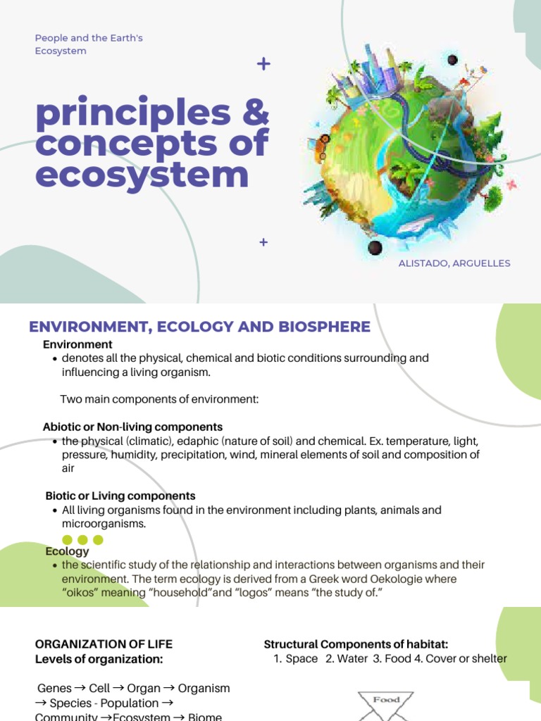 Ecosystem Report | PDF | Food Web | Ecological Niche