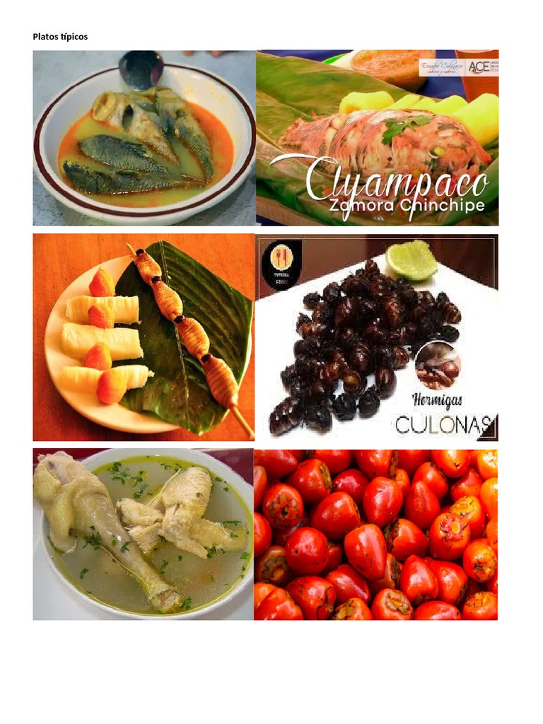 Platos Típicos | PDF