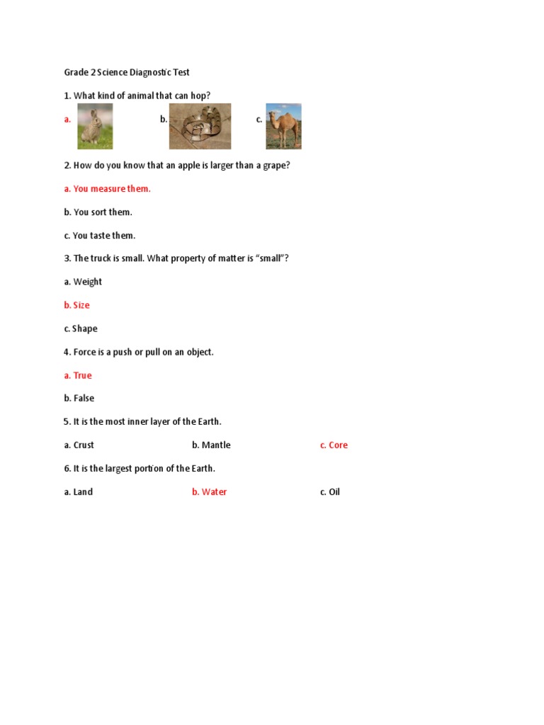 Grade 2 Science Diagnostic Test Questions | PDF