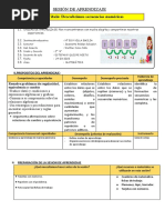 SESION La Centena | PDF | Evaluación | Cognición