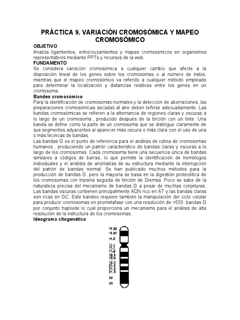 Practica 9. Variacion y Mapeo Cromosomico | PDF | Cromosoma | Cariotipo