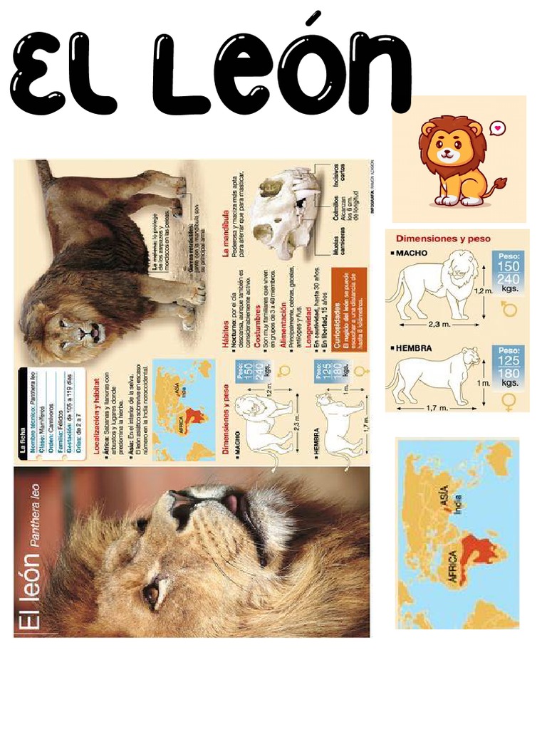 Infografia de León | PDF