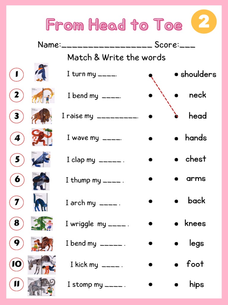 From head to toe (2) | PDF