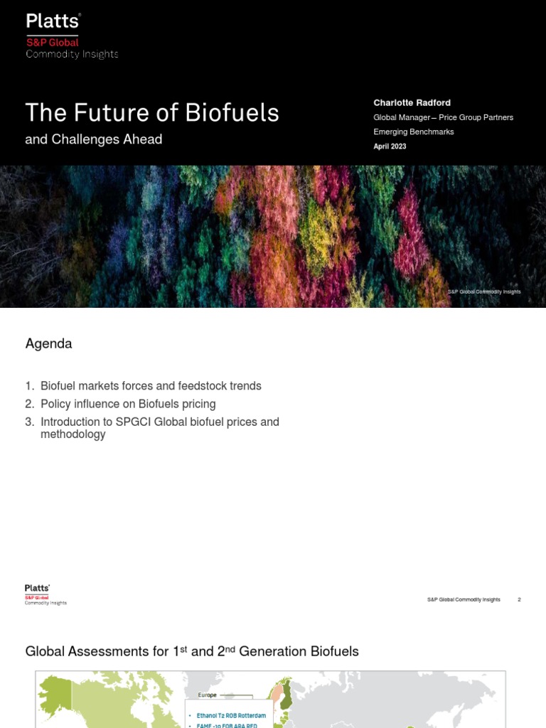 The Future of Biofuels and Challenges Ahead | Download Free PDF | Biofuel | Biodiesel