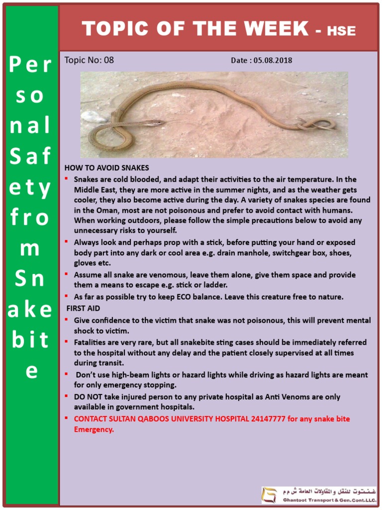 Snake Bite Safety and First Aid Guide | PDF