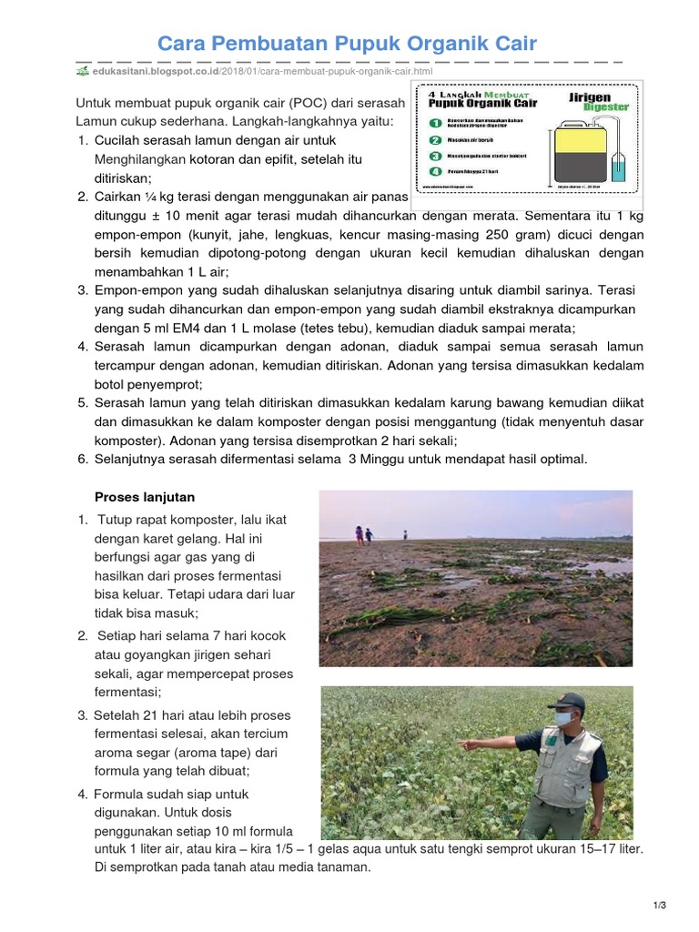 Leaflet PKL POC | PDF