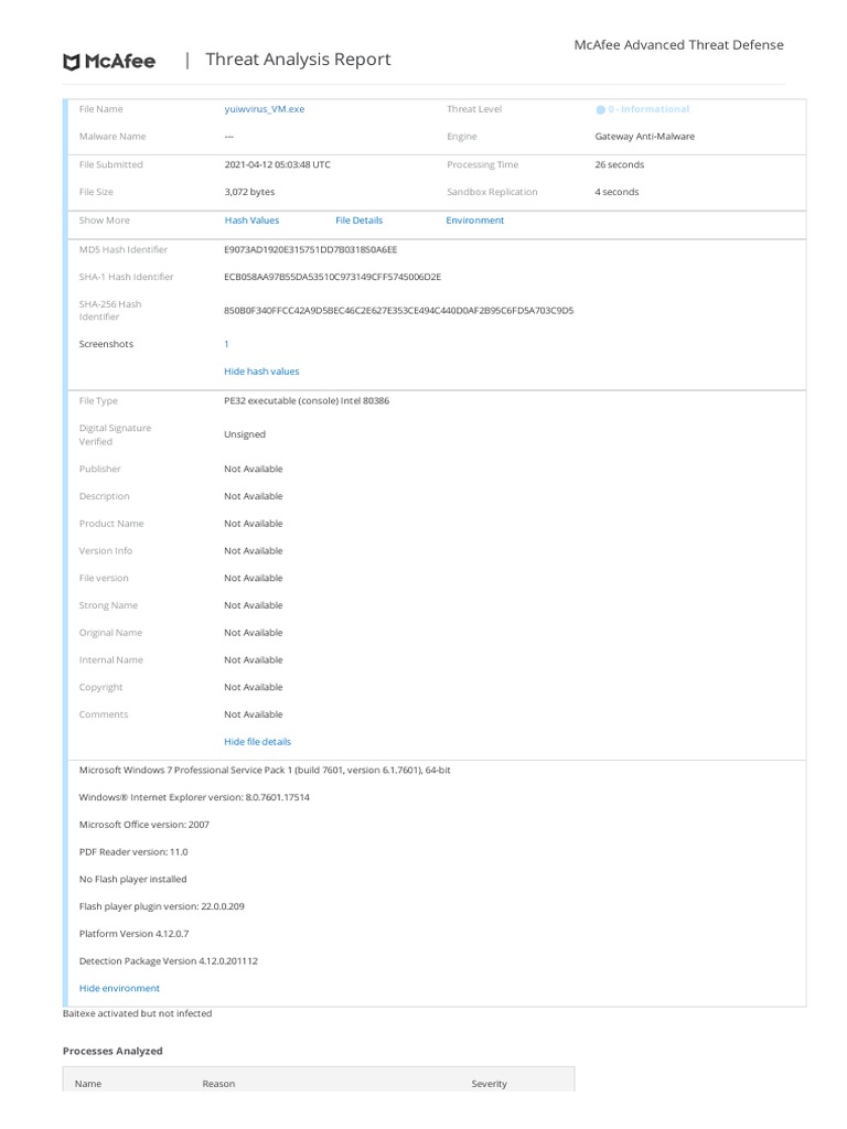 Threat Analysis Report: Hash Values File Details Environment | PDF ...